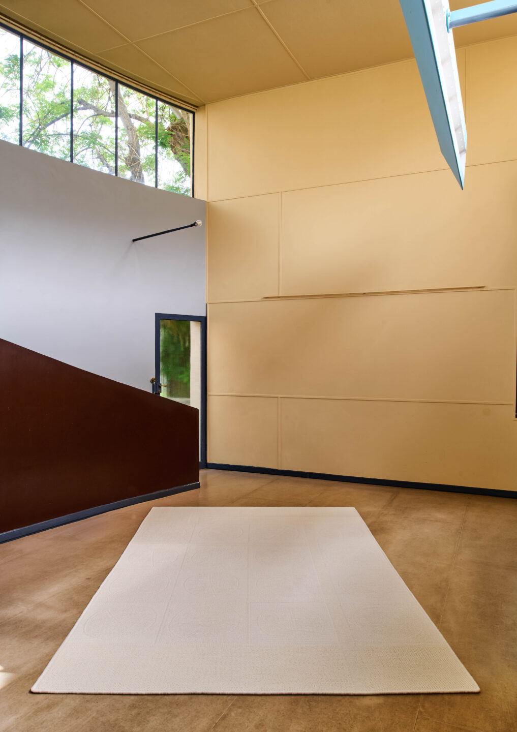 Rosette - Merida Studio